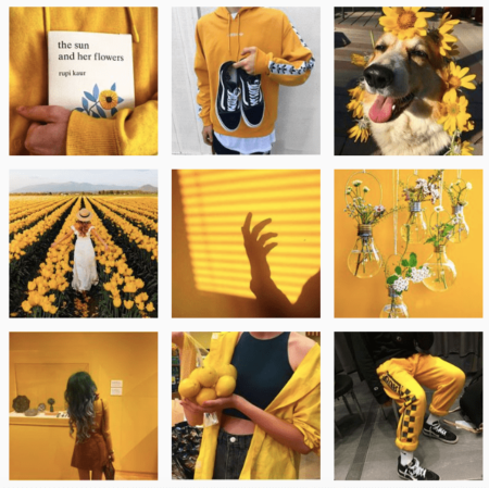 How to Create an Aesthetically Pleasing Instagram to Boost Your Brand